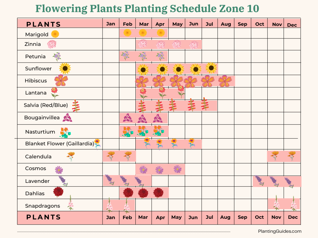 Zone 10 Planting Schedule - Chart