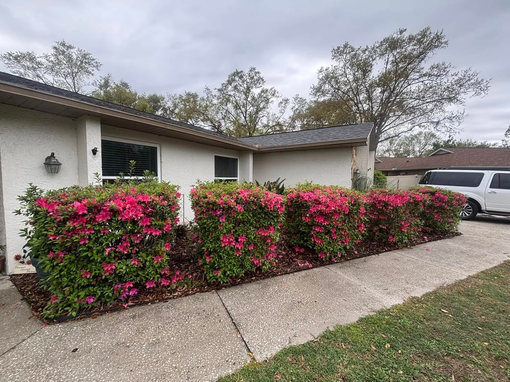 Best Landscape Bushes for Zone 9