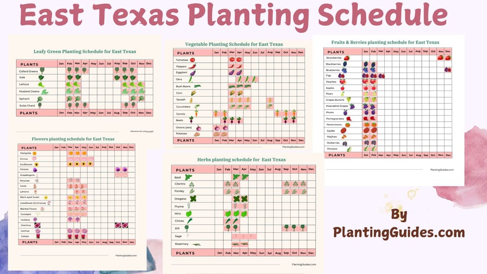 East Texas Planting Schedule Chart