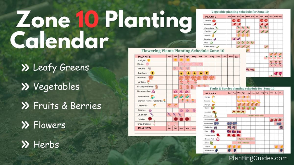 Zone 10 Planting Schedule - Chart