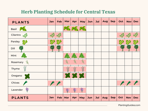 Central Texas Planting Schedule - Charts