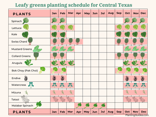 Central Texas Planting Schedule - Charts