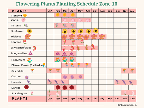 Zone 10 Planting Schedule - Chart