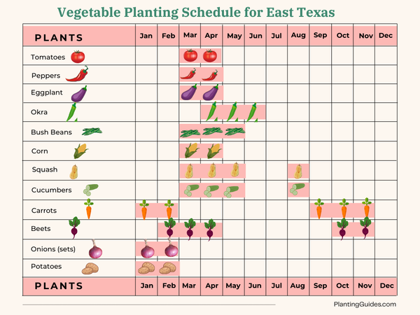 East Texas Planting Schedule Chart